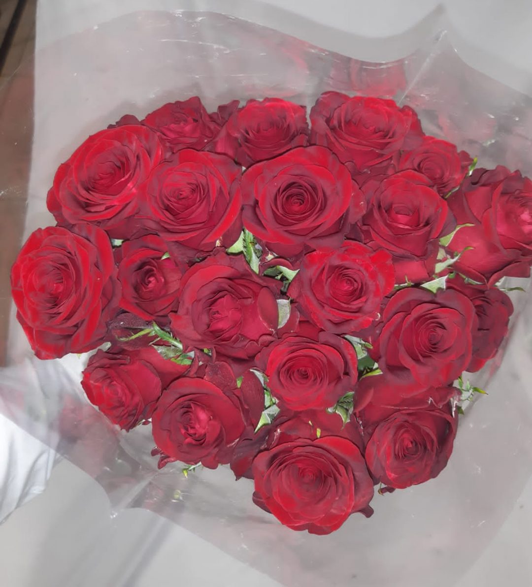 Red Roses 20 stems - Susan Flowers